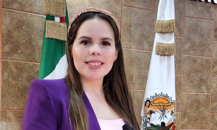 Busca la diputada Monserrat Rodríguez reformas a Leyes de Salud ...